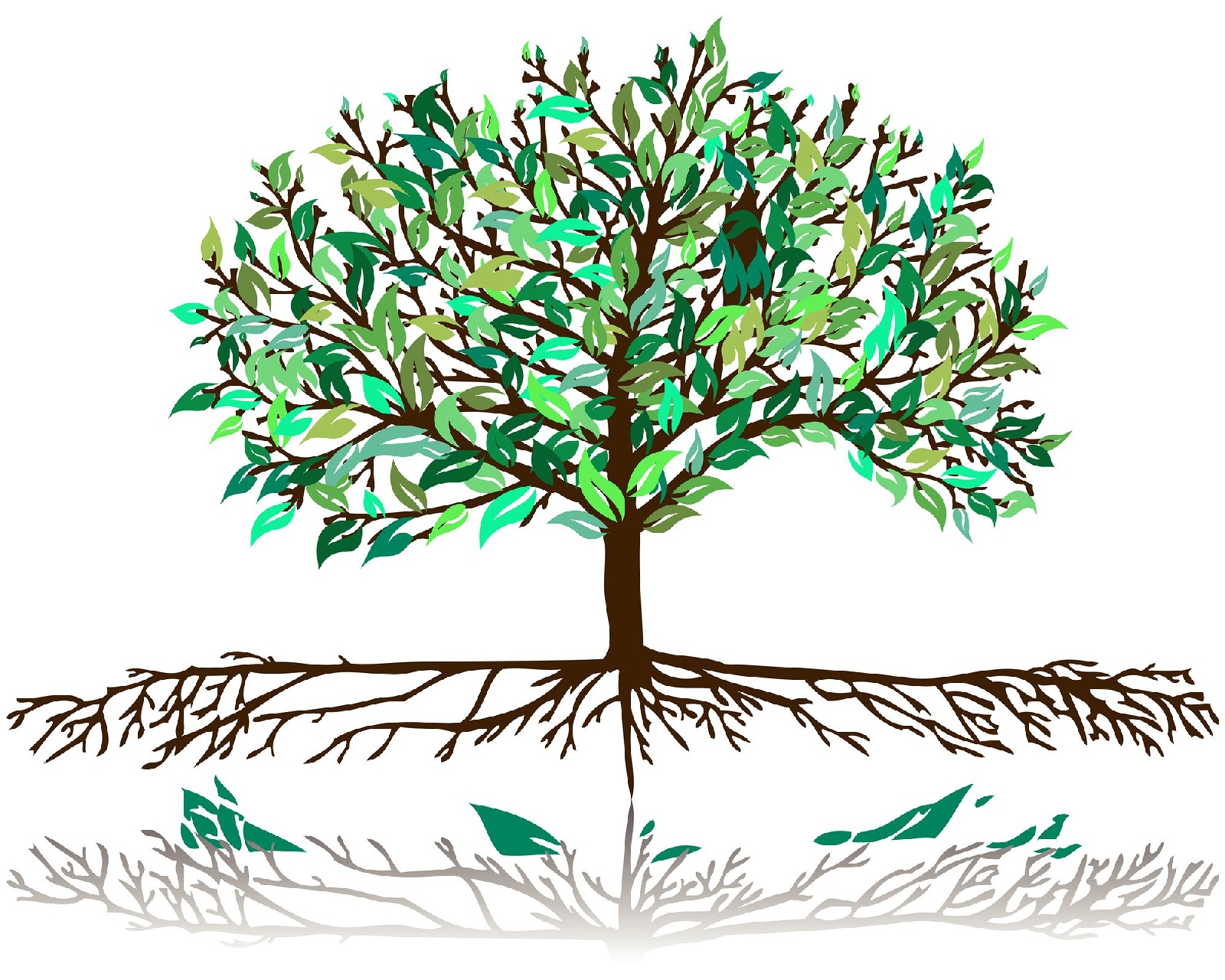 Finding the Roots of Your Family Tree – Seasoned Times