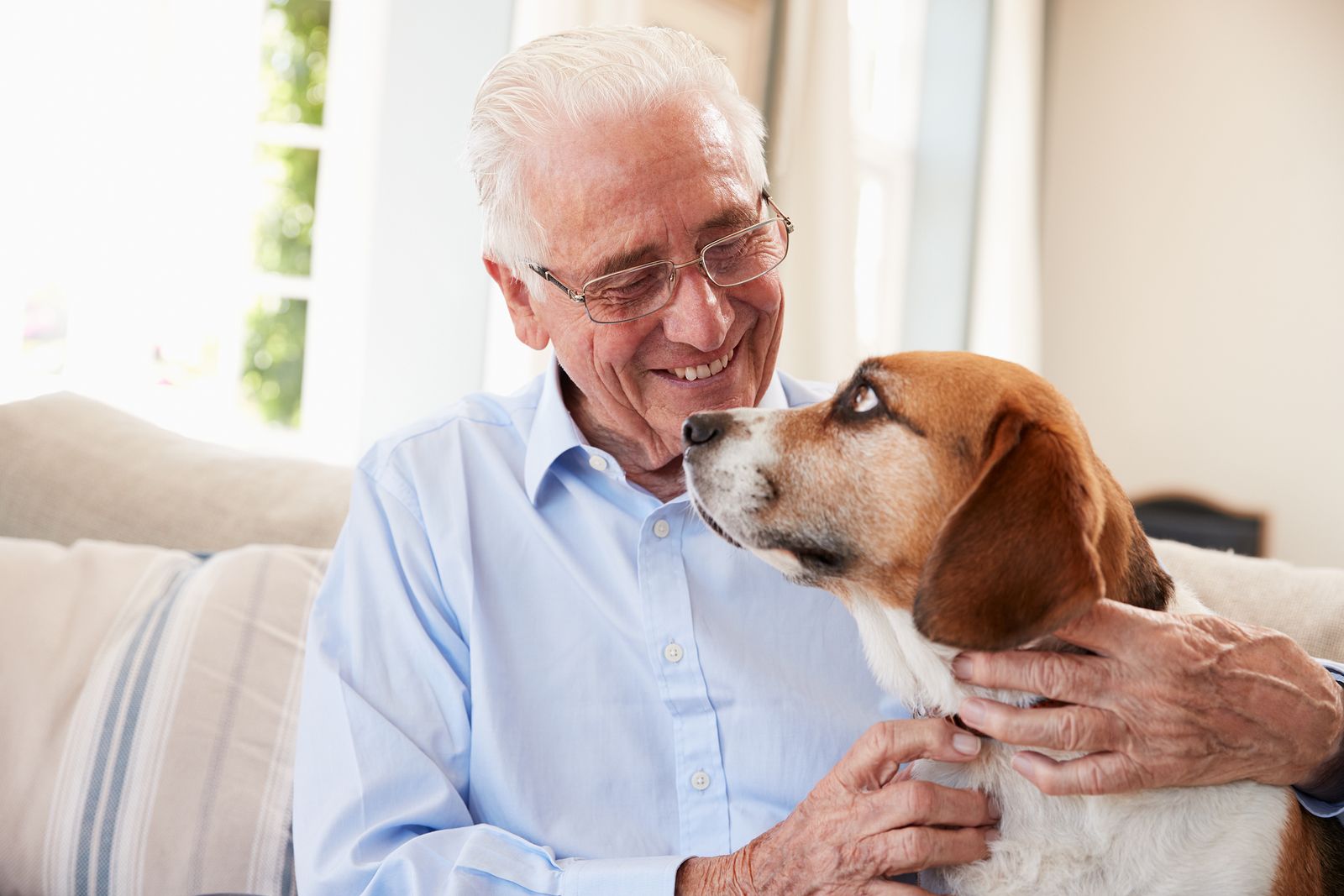 Coping with the Loss of a Pet – Seasoned Times