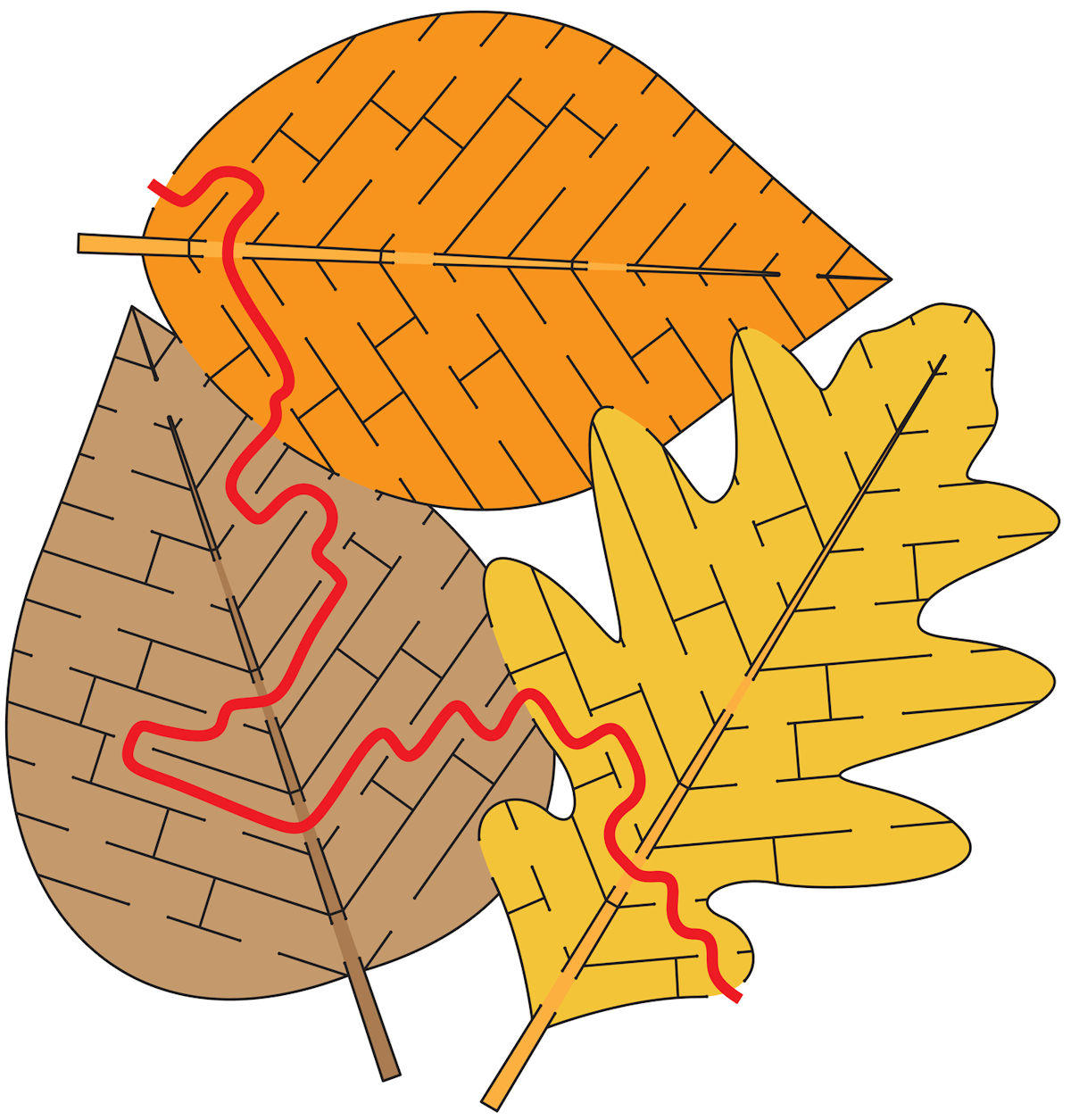 Autumn Maze 922 Solution – Seasoned Times