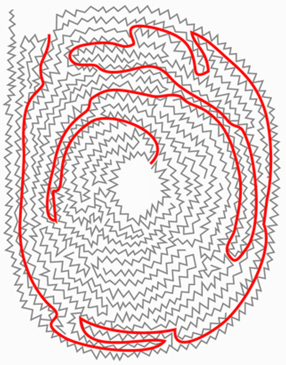 FoxMaze823Solution – Seasoned Times